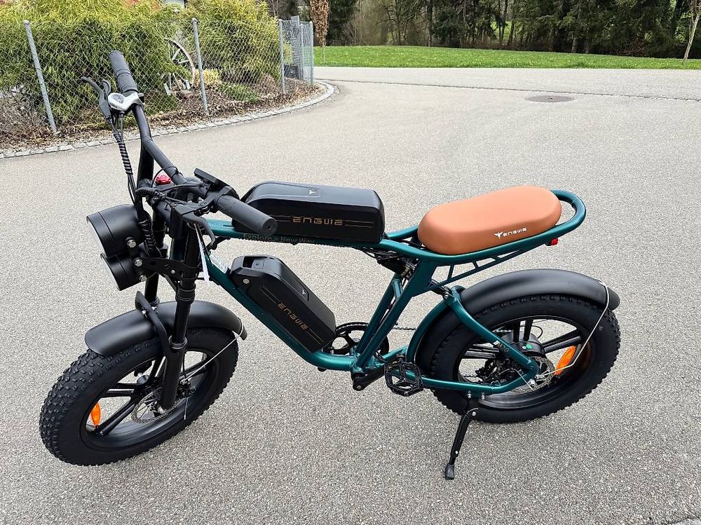Engwe M20 E-Bike 25 km/h Green (Gebraucht) in Schönholzerswilen für CHF ...