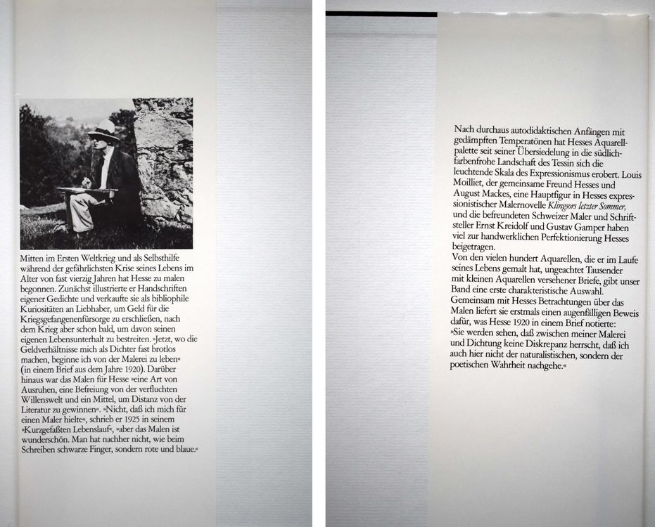 Hermann Hesse als Maler Bruno Hesse 44 Aquarelle (Gebraucht) in Zürich ...