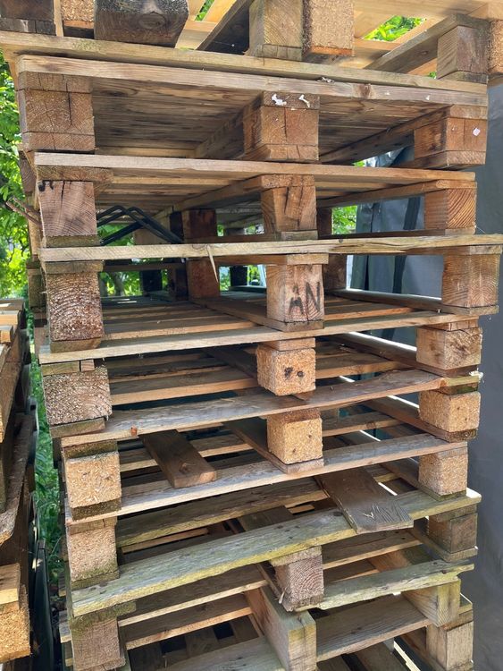 Einweg Paletten 1/2 grösse (Gebraucht) in Olten für CHF 5 – nur ...