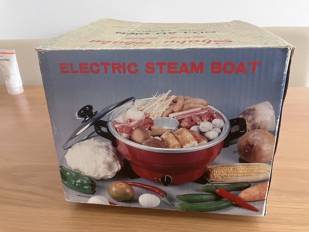 Elektrischer Hot Pot - Ideal für Fondue (Gebraucht) in Solothurn für ...