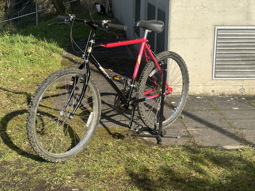 Vintage Mountainbike Flying Tiger 90s Bike | Ab Service | Kaufen auf Ricardo