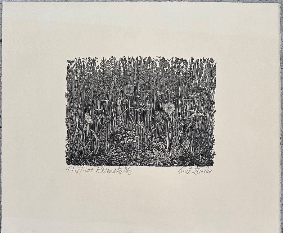 Emil Zbinden (1908-1991) Lithographie Handsigniert (Gebraucht) in Root ...