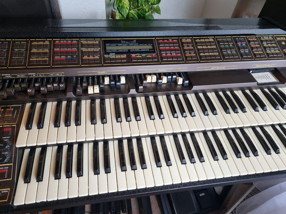 WERSI Spectra Golden Gate Orgel mit Boxen und Sitzbank (Gebraucht) in ...