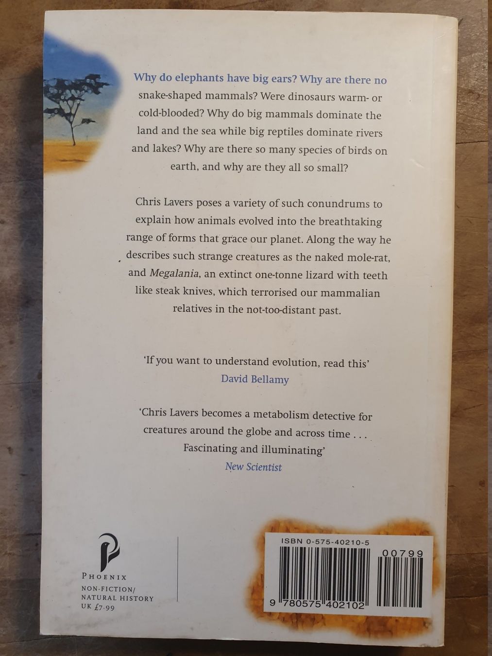 Why Elephants have BIG Ears Chris Lvaers Phoenix (Gebraucht) in Zürich ...