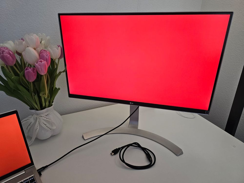 LG 27UD88-W 27″ 4K UHD IPS Monitor – USB-C (Gebraucht) in Wettingen für ...
