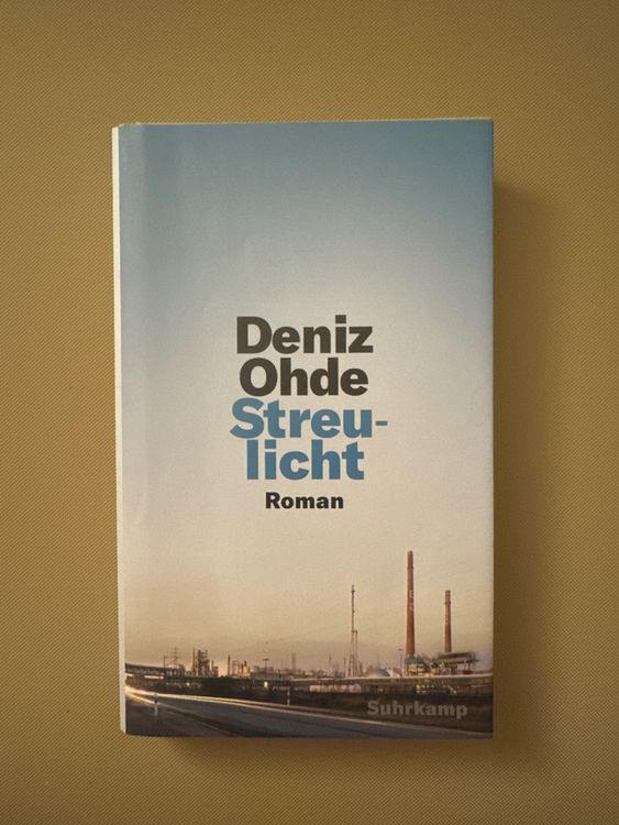 Roman: Deniz Ohde „Streulicht“ | Kaufen auf Ricardo