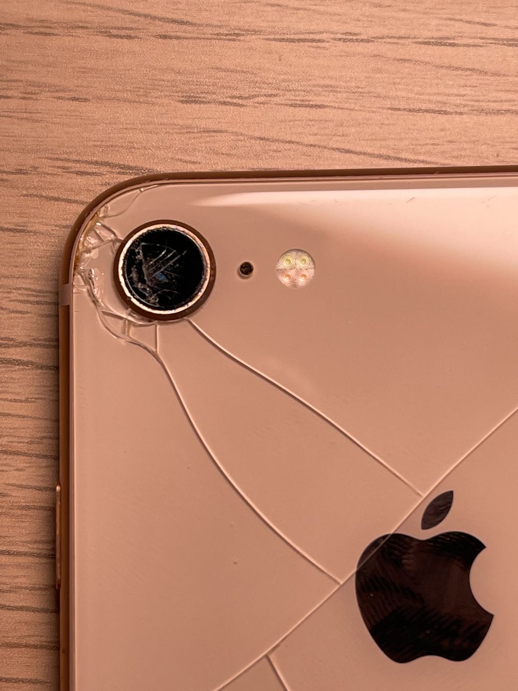 iPhone 8 - 64GB Gold (verre arrière fissuré) (D'occasion) à Cheseaux ...