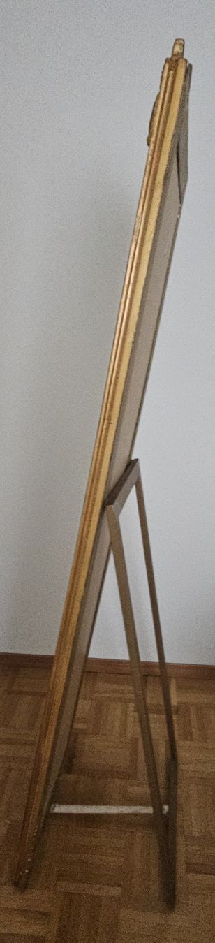 Alter Spiegel 180 x 44 cm (Gebraucht) in Luzern für CHF 250 – nur ...