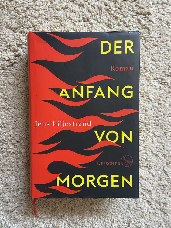 Buch Jens Liljestrand "Der Anfang von Morgen" | Kaufen auf Ricardo