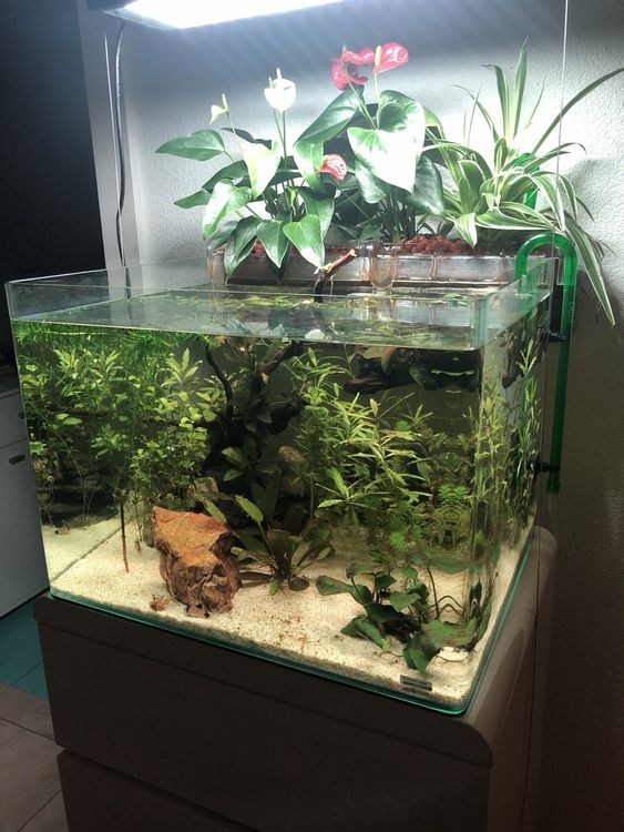 Aquarium 70 litres | Kaufen auf Ricardo