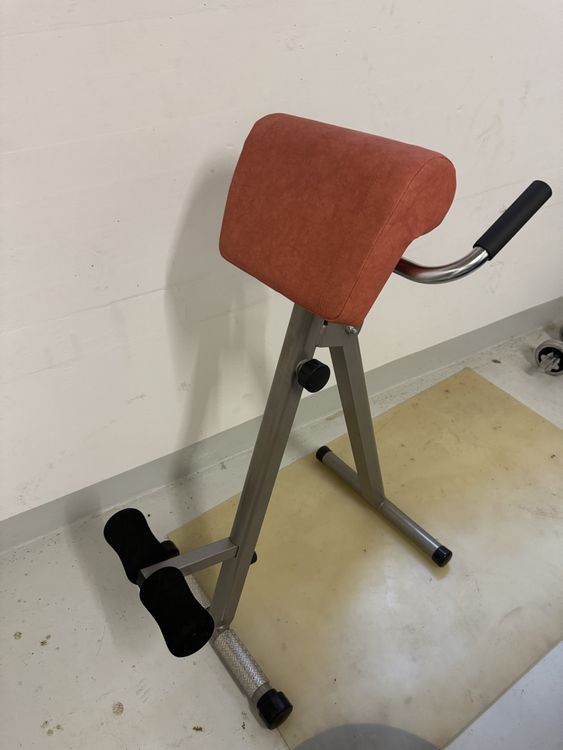 Kattler für Rücken trainieren | Kaufen auf Ricardo