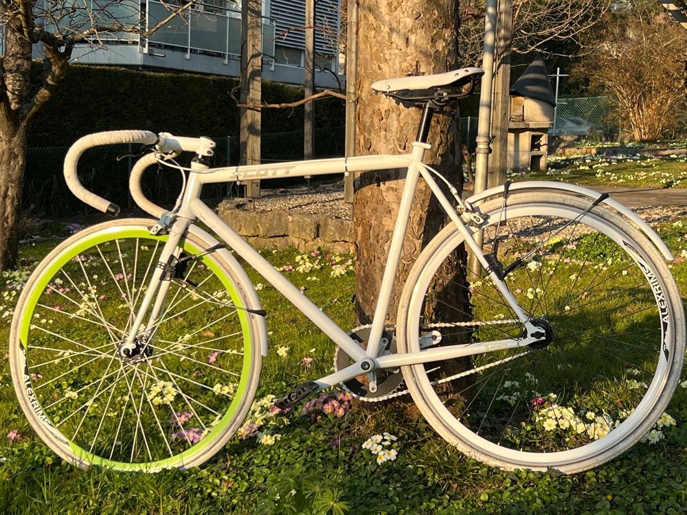 Scott Single Speed | Kaufen auf Ricardo