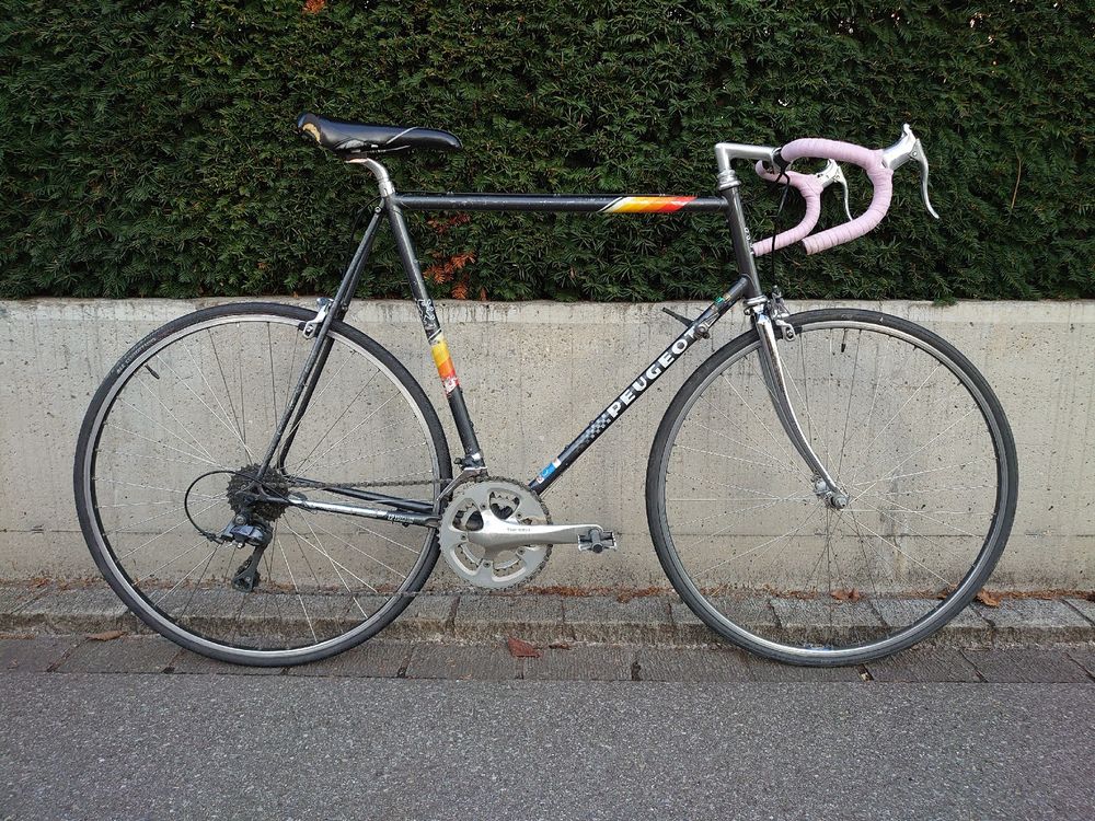 Peugeot Rennrad – Reynolds 501 – 61.5 cm – Fahrbereit (Gebraucht) in ...
