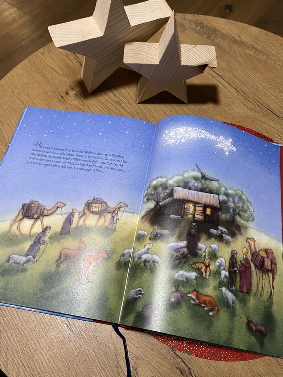 Himmlische Weihnachtsfahrt von Marcus Pfister (Gebraucht) in Rebstein ...