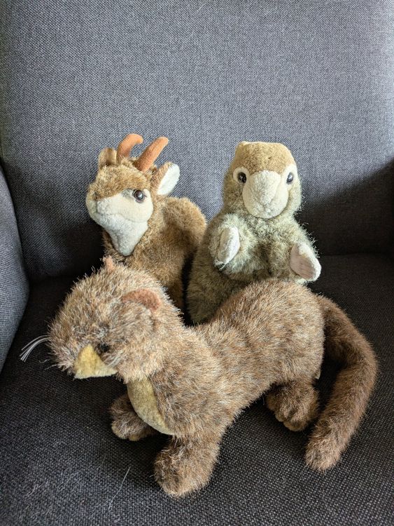 Gämse, Mungg und Marder (Gebraucht) in Schangnau für CHF 15 – mit ...