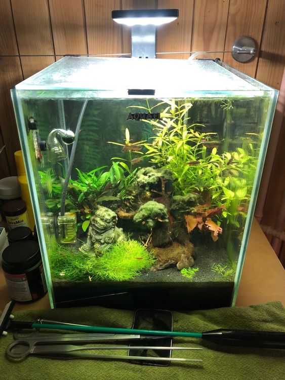 Aquael Shrimp Set Day & Night 30l | Kaufen auf Ricardo