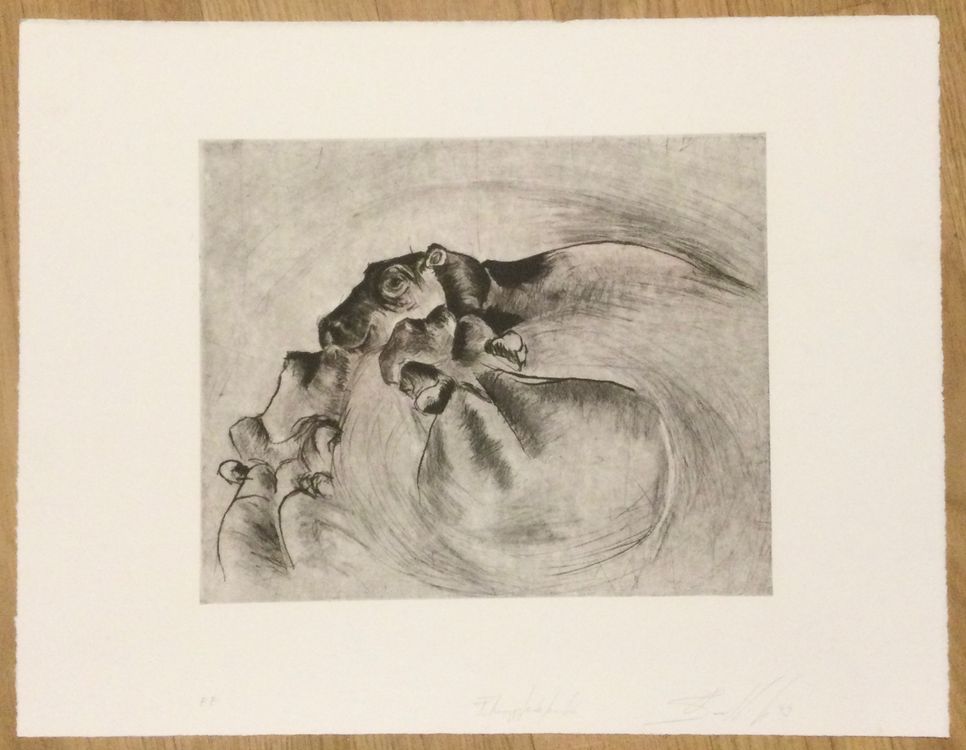 Interessante Wasserpferd Radierung Unleserlich Signiert (Gebraucht) in Root für CHF 5 – mit ...