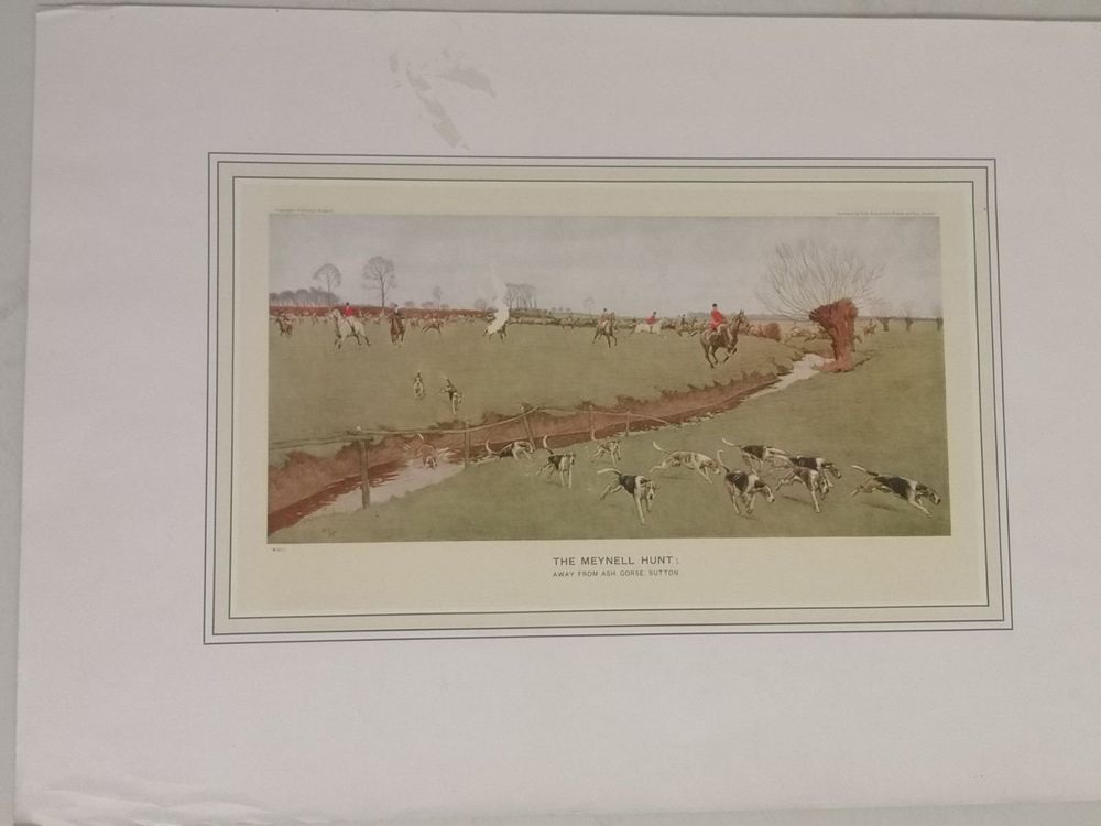 The Meynell Hunt. Englischer Stich. (Gebraucht) in Bern für CHF 5 – nur ...