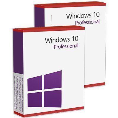 Microsoft Windows 10 Professional (2 Product Keys) (Gebraucht) in ...