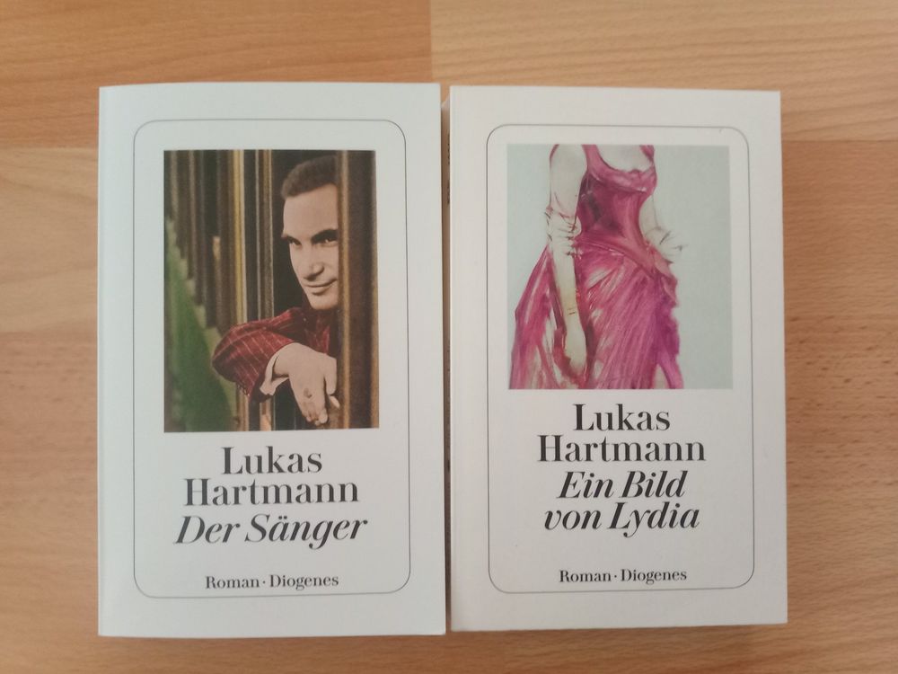 Lukas Hartmann Der Sänger Ein Bild Von Lydia Roman Schweiz Kaufen Auf Ricardo