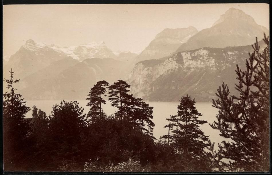 Fotografie Brunnen, der Urnersee mit Alp (Gebraucht) in Berlin für CHF ...