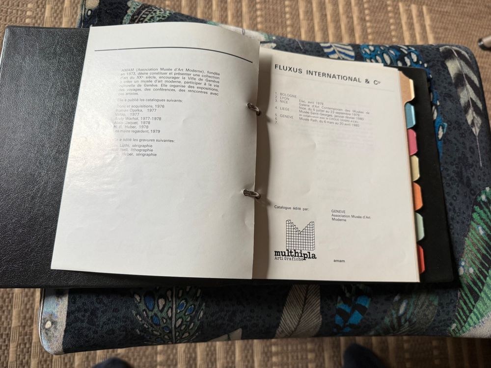 1980 Fluxus International Musée Rath Genève Katalog RAR (Gebraucht) in ...