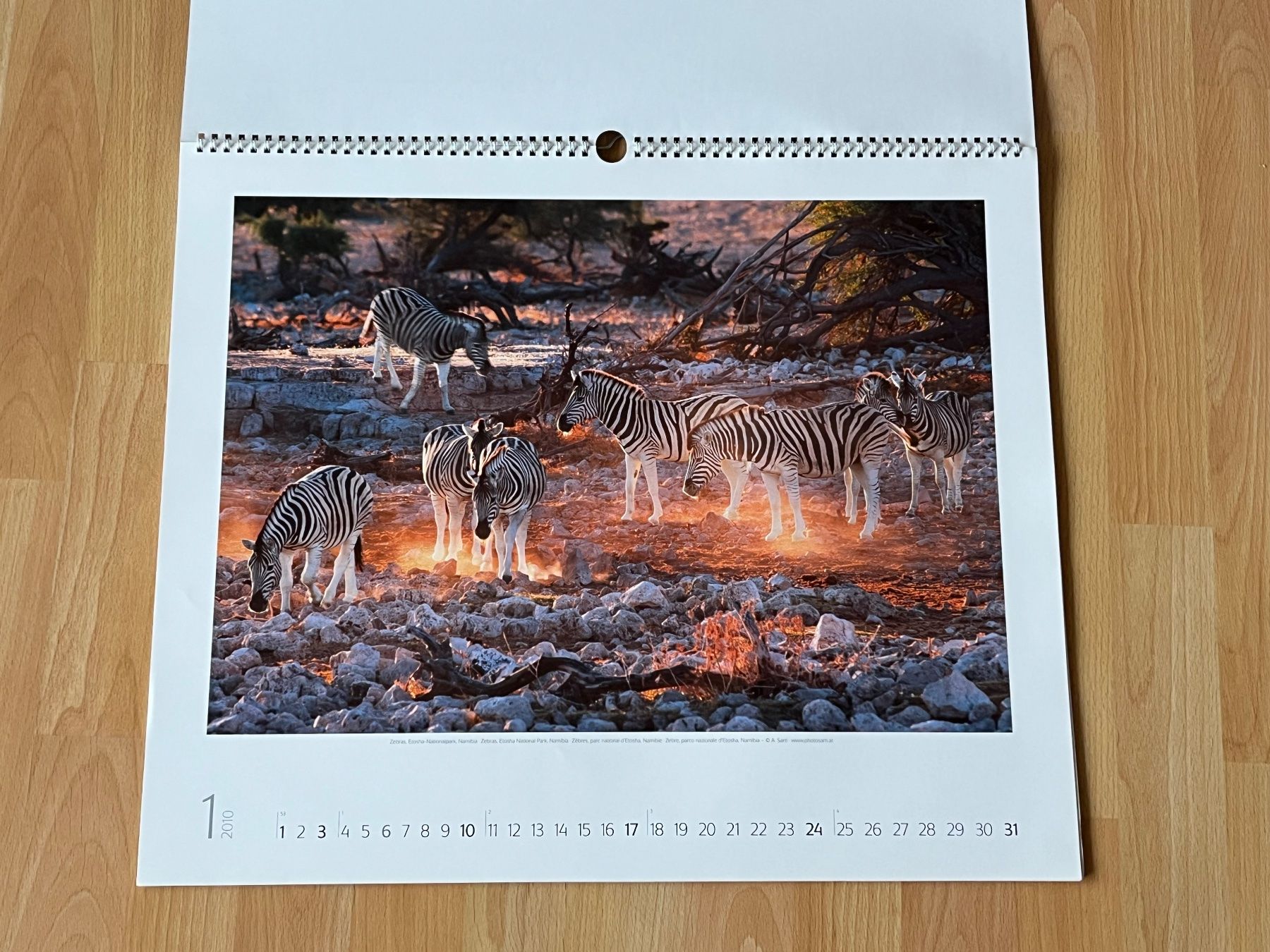 Kalender „Faszination Afrika 2010" -> auch 2027+2032 gültig (Gebraucht ...