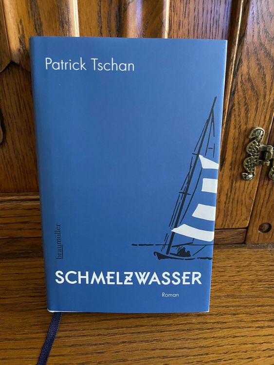 Patrick Tschan: Schmelzwasser | Kaufen auf Ricardo
