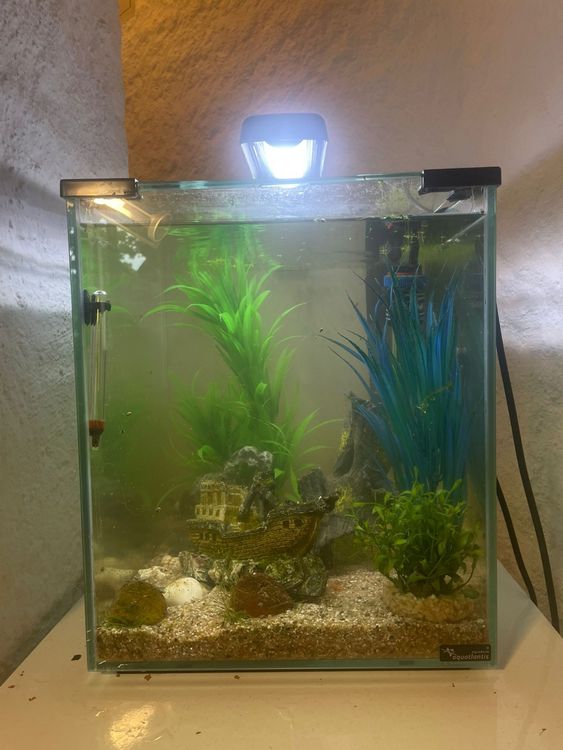 Aquarium 30L | Kaufen auf Ricardo