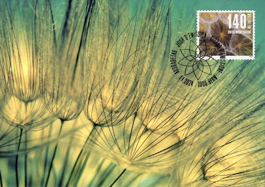 Maximumkarte Naturmuster - Samenstand | Kaufen auf Ricardo