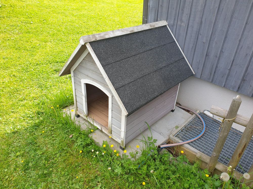 Hundehutte Fur Den Garten