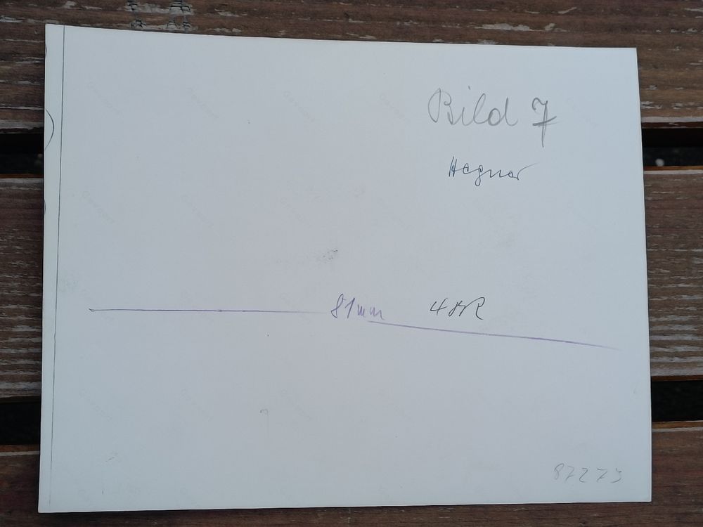 Altes SBB Werk Photo / Beim Einladen Ausgabe ca. 1960 (Gebraucht) in ...