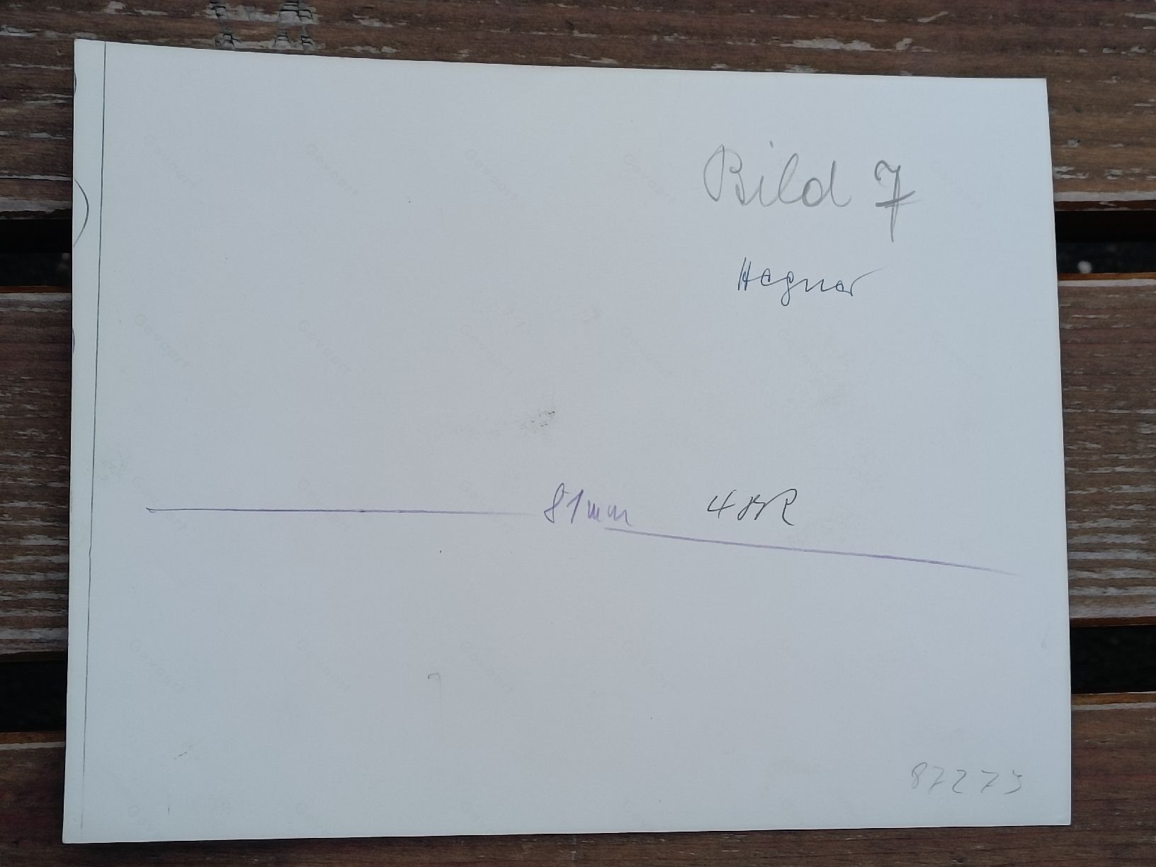 Altes SBB Werk Photo / Beim Einladen Ausgabe ca. 1960 (Gebraucht) in ...