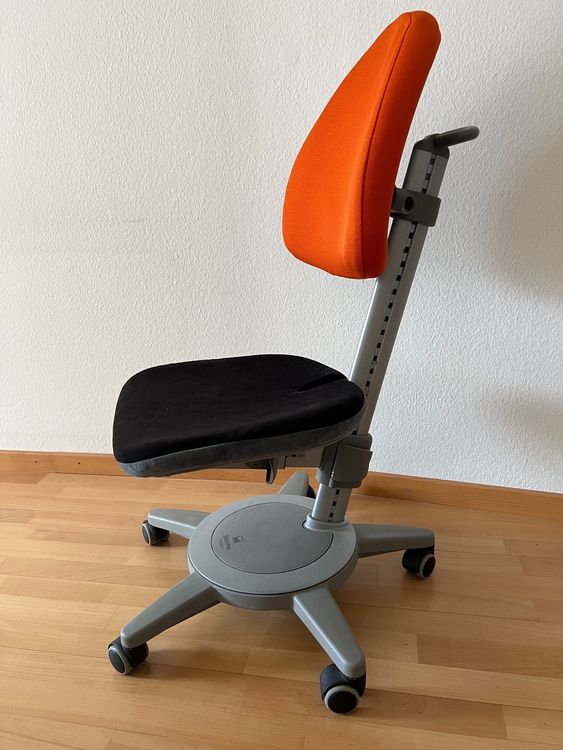 Bezug Fur Moll Maximo Forte