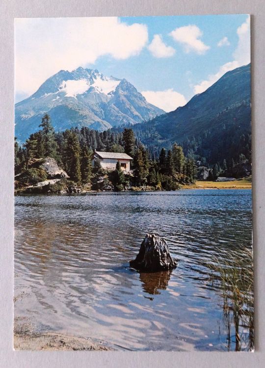 Oberengadin, Lago di Cavloccio (Gebraucht) in Fétigny für CHF 1 – mit ...