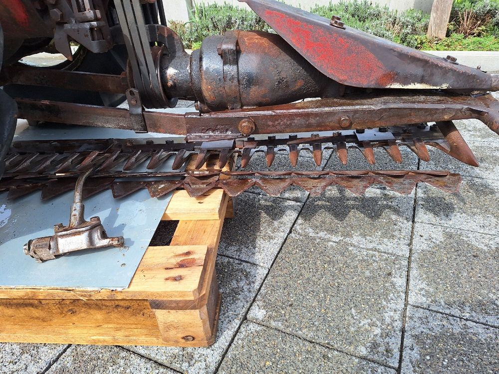 Aebi AM 53 Originalzustand Motormäher Balkenmäher (Gebraucht) in Auw für CHF 260 – nur Abholung ...