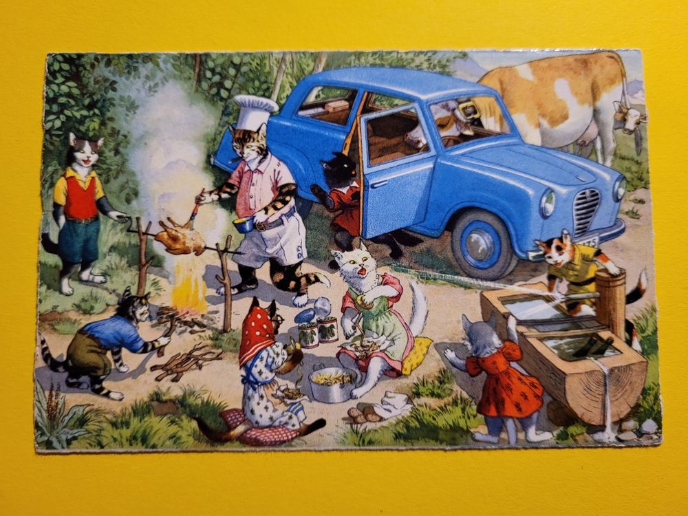 Ansichtskarten Katzen 3 Stk. Edition Max Künzli, unbeschrieb (Gebraucht ...