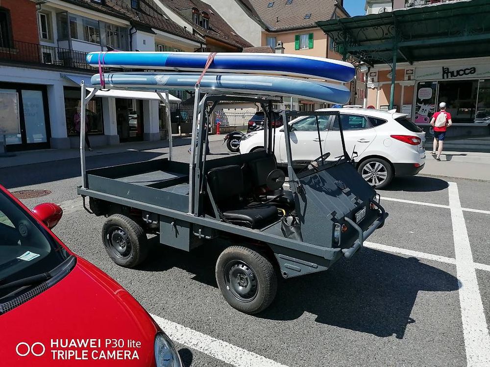 Haflinger série 2 (Gebraucht) in albeuve für CHF 24900 – nur Abholung auf Ricardo kaufen