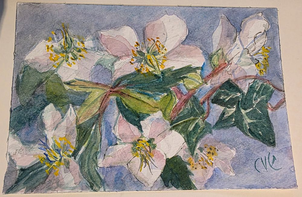 Aquarell Clara Vogelsang Eymann (23 x 16) 40 % seines Wertes (Gebraucht ...