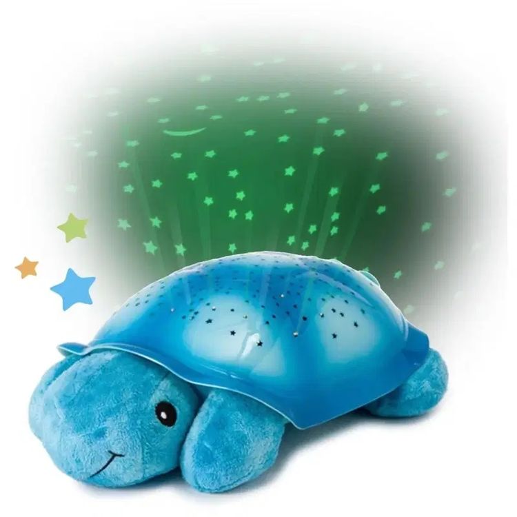 Schildkrote Als Nachtlicht