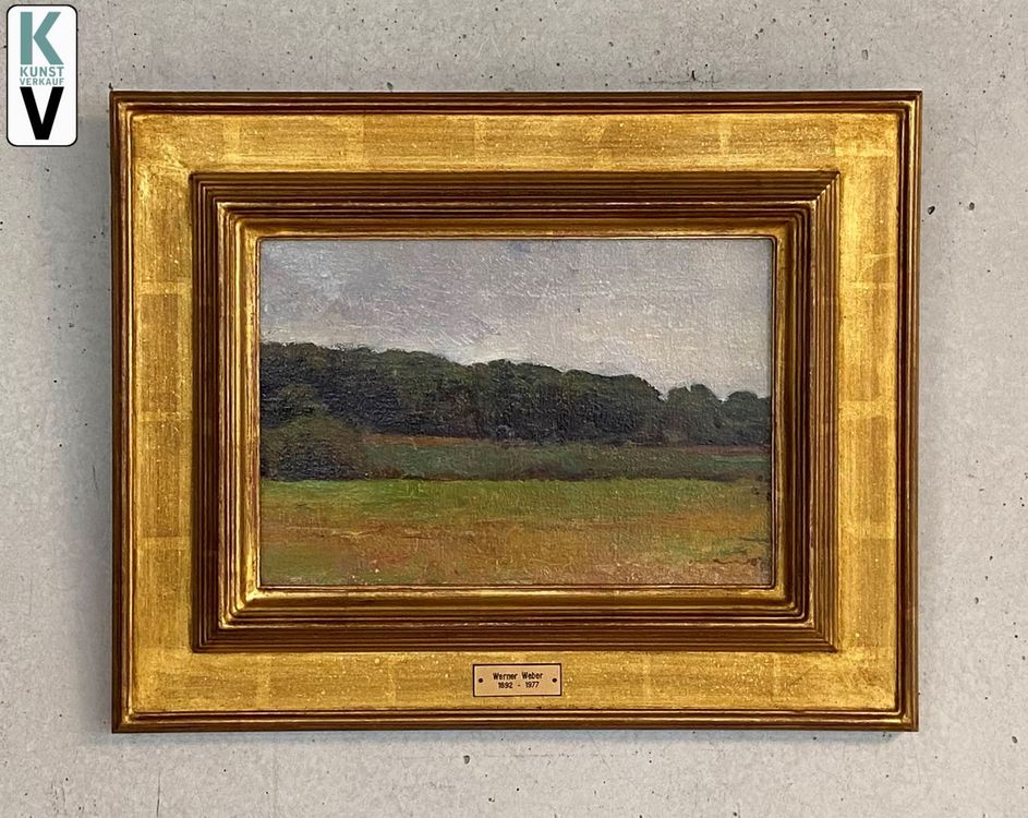 Werner Weber - Swiss Art Selection (Gebraucht) in Sursee für CHF 560 – mit Lieferung auf Ricardo ...