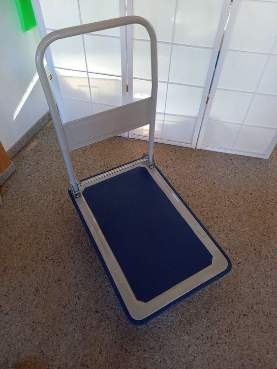 Plattformwagen / Rollwagen / Trolley (Gebraucht) in für CHF 30 – nur ...
