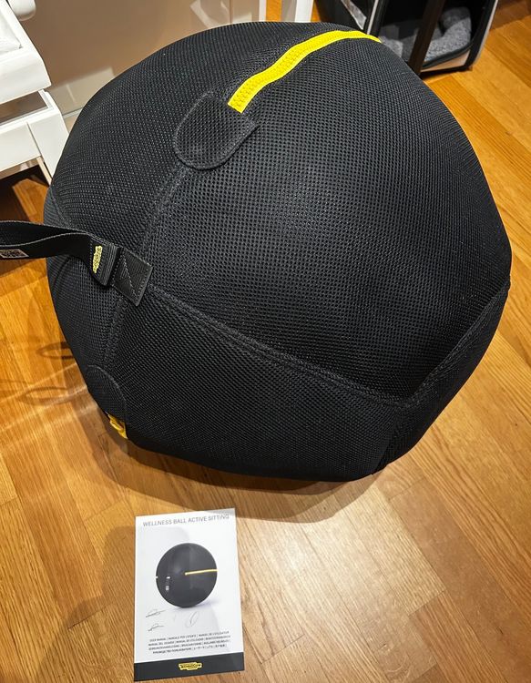 Wellness Ball Active Sitting Technogym (Gebraucht) in Zug für CHF 40 ...