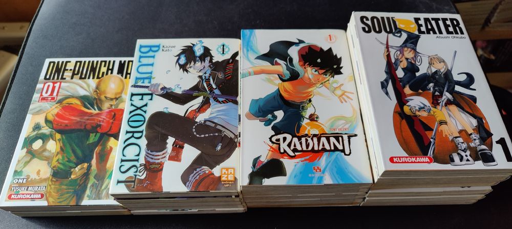 bundle shônen nekketsu manga (fr) (D'occasion) à Lausanne pour CHF 11 ...