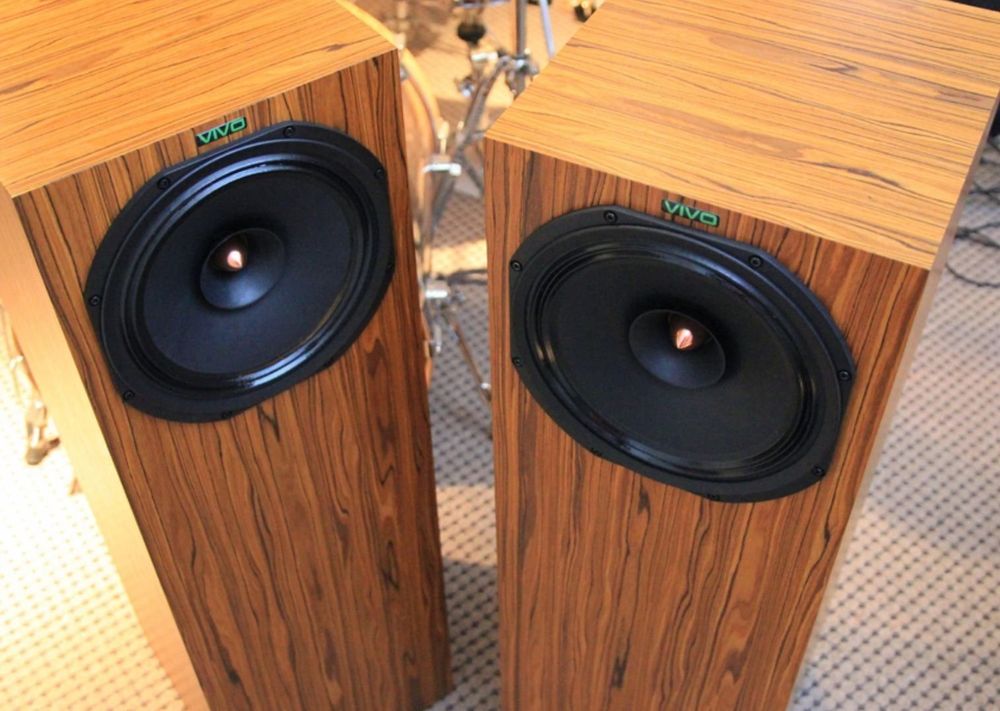 Standlautsprecher Vivo Audio Design VS-20 - Fullrange | Kaufen auf Ricardo