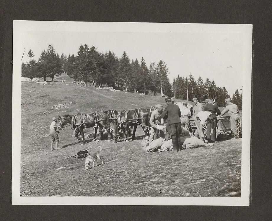 1. Weltkrieg,Train,Kavallerie?,Unikat | Kaufen auf Ricardo