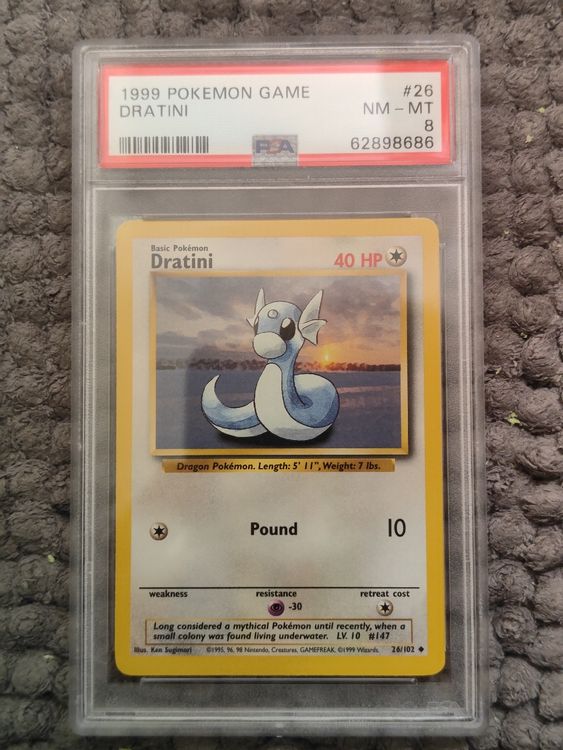 TCG Pokemon Dratini Base Set Unlimited PSA 8 English (Neu und ...