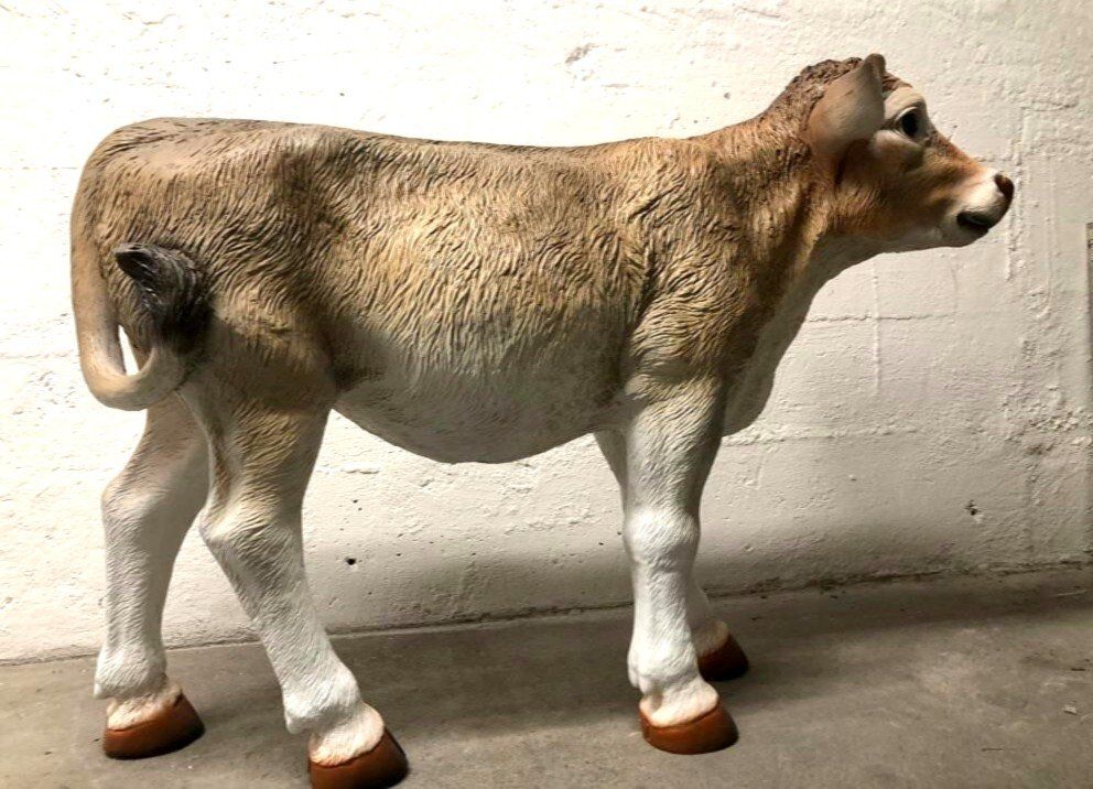 Kalb 🐄 | Kaufen auf Ricardo