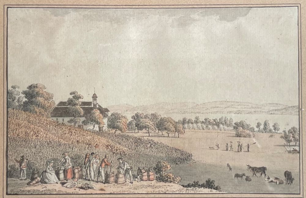 S. D. Lafond gravure Vendange île St-Pierre 1795 (D'occasion) à Biel ...
