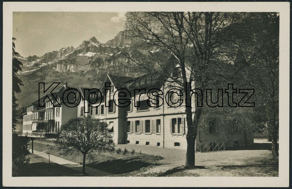 SG Walenstadt (Gebraucht) in Schindellegi für CHF 70 – mit Lieferung auf Ricardo kaufen